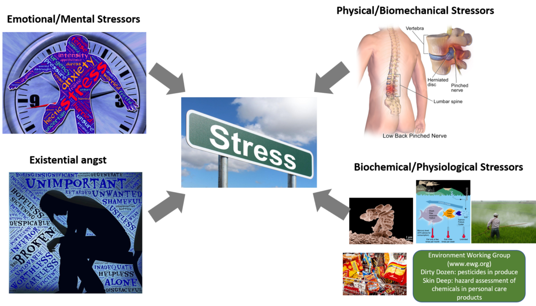 Why Stress is the Culprit - Simply Radiant Living